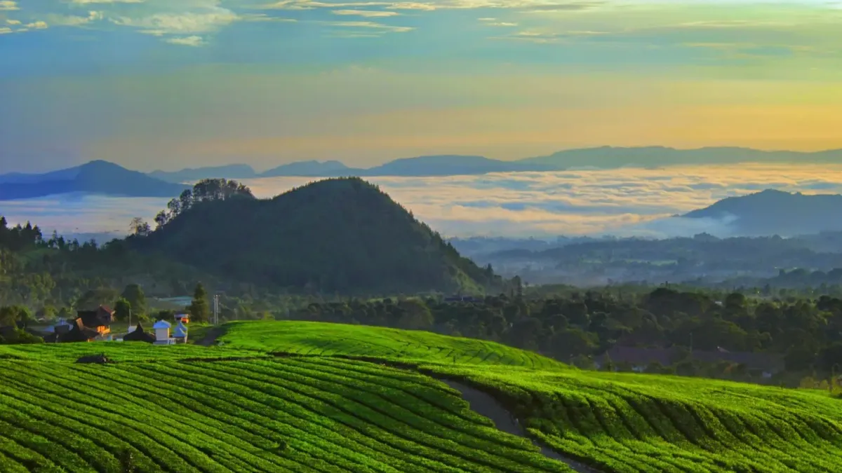 Subang Daerah Mana? Mengenal Letak dan Karakteristik Kabupaten Subang ...
